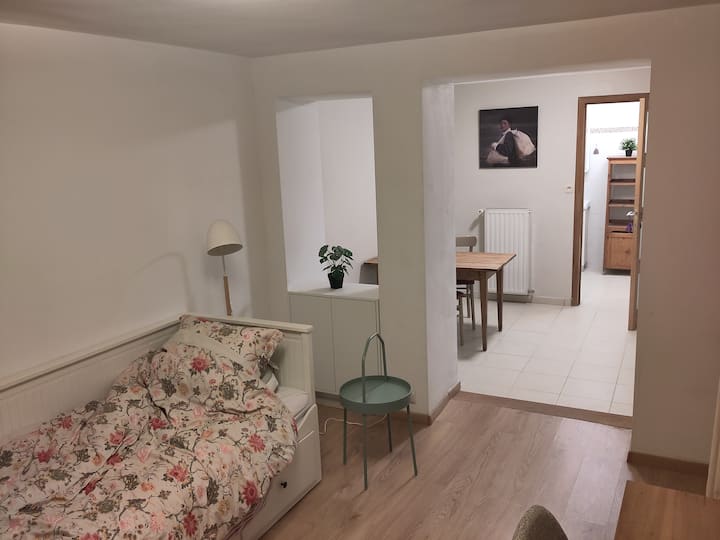 Studio Avec Cuisine Et Salle De Douche Privatives - Uccle