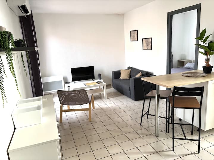 T2 Muret Centre Ville - Muret