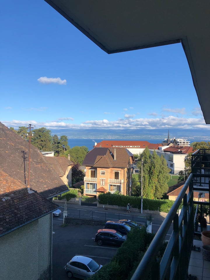 Résidence Fleurie, Vue Sur Le Lac Léman - Thonon-les-Bains