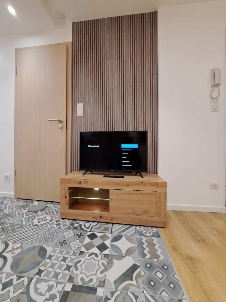 Studio 33 M² Tout Proche Gare - Épinal