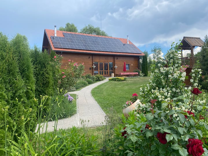 Nimfa Apartment 1 - Roumanie