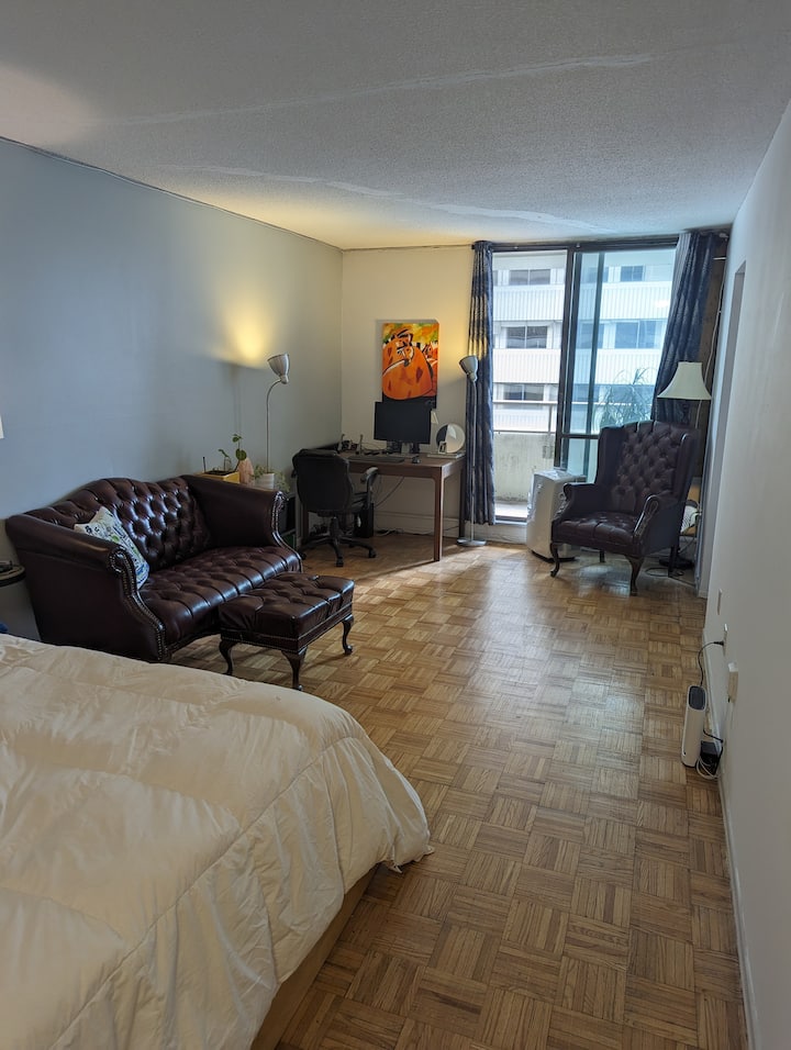 Centrally Located Haven - Toronto