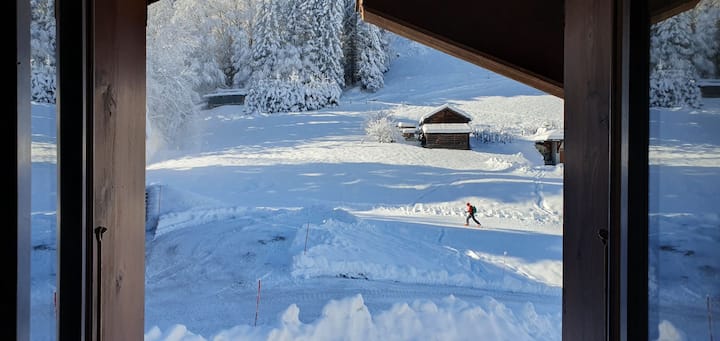 Appartement Montagne Moderne, Ski Au Pied - La Clusaz