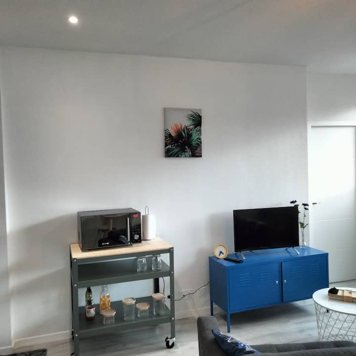 Appartement T2 Calme Et Lumineux Clermont Centre. - Aubière