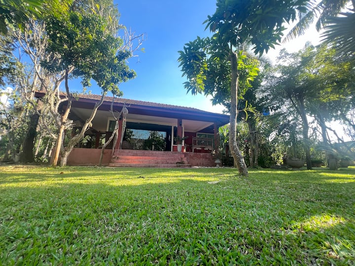 Happiness - Hang Dong