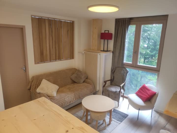 Appart Bord De Piste Praloup 1600 Cherverny 3 - Pra-Loup