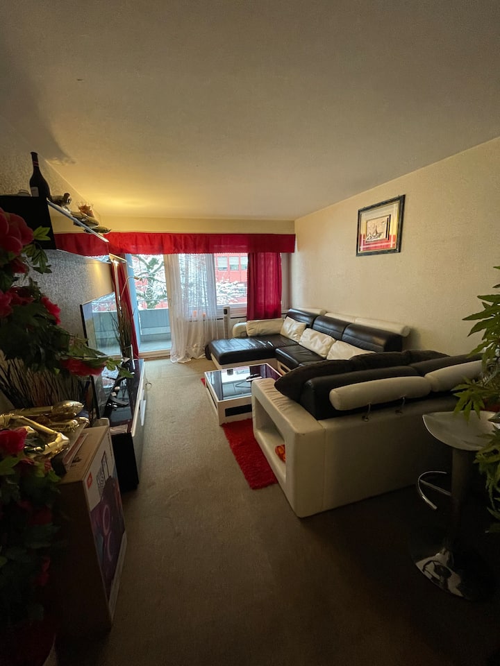 Apartment In Bern - Berne