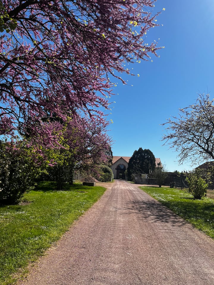 Gîte Dans Un Domaine éQuestre - Vivonne