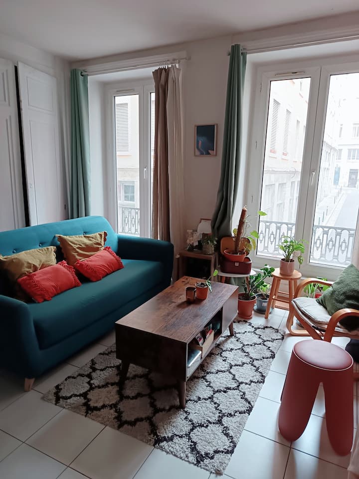 Appartement Cosy Dans Les Pentes - Lyon