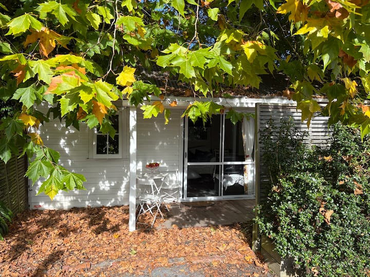 Elmwood Studio - Greytown