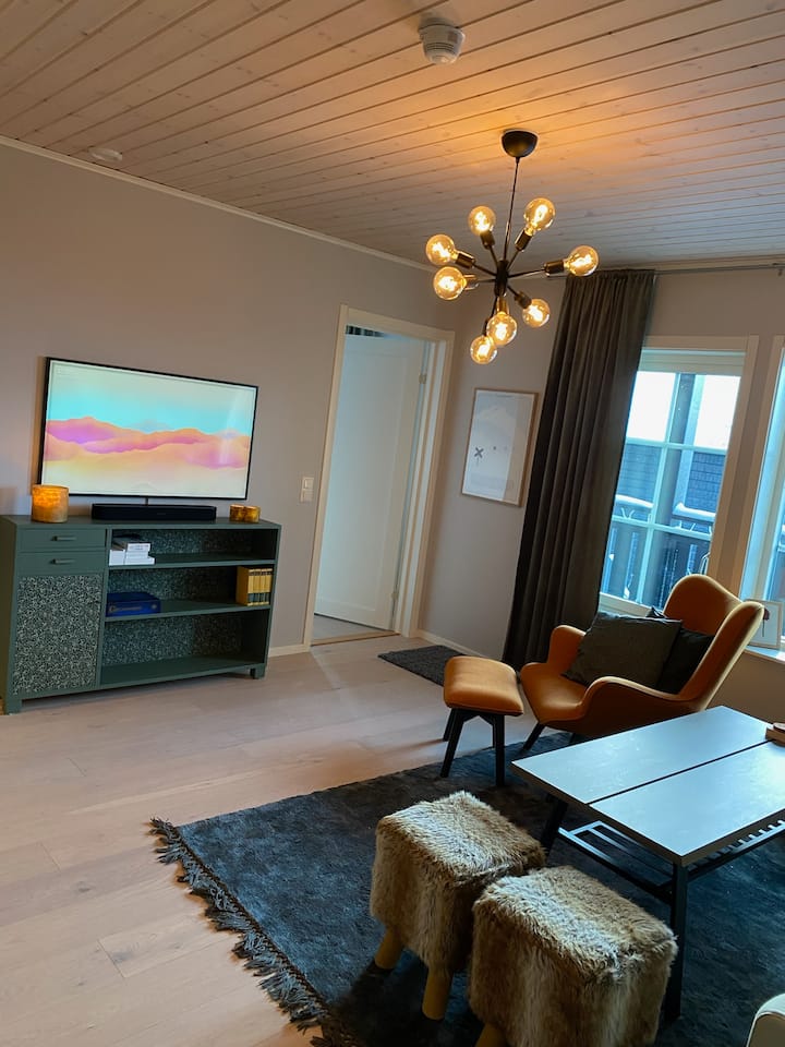 Ski In Ski Out Lgh I Skalspasset - Vemdalen