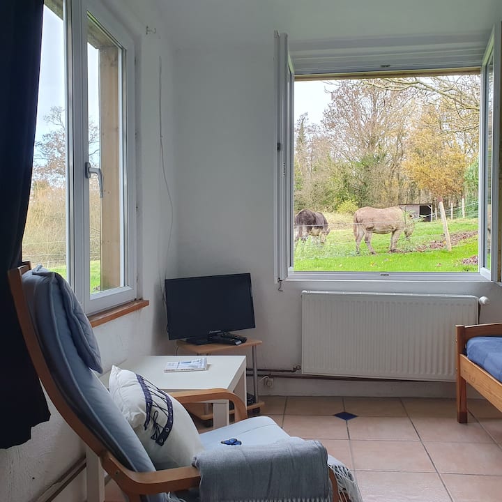 Gîtes La Vicomterie - Gîte Raisin - Basse-Normandie