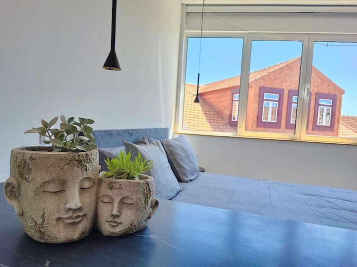 Fino Flamingo - Studio Apartment - Santa Maria da Feira