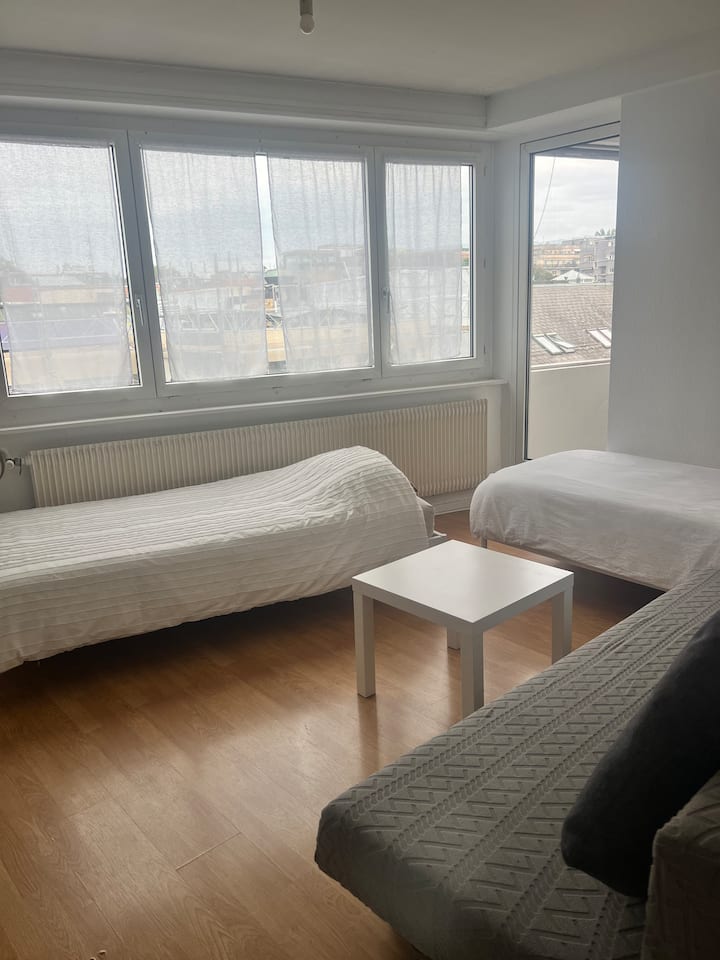 Apartment In Eaux-vives With Balcony - Ginebra