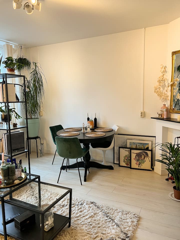 Apartment In Amsterdam - Amsterdam