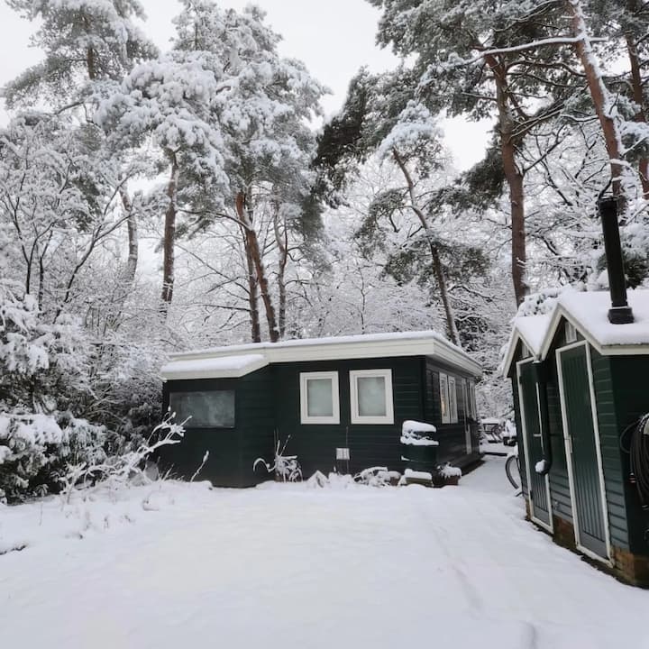 De Maanvaren - Charming Forest Chalet Near Zwolle - Zwolle