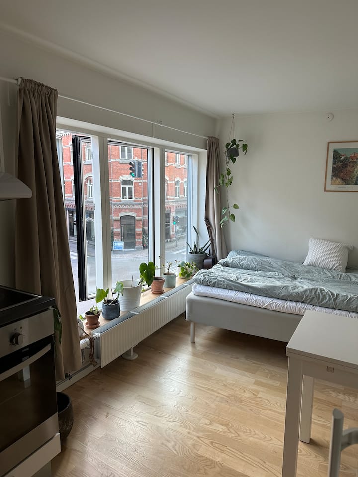 Lejlighed I Hjertet Af Aarhus - Aarhus