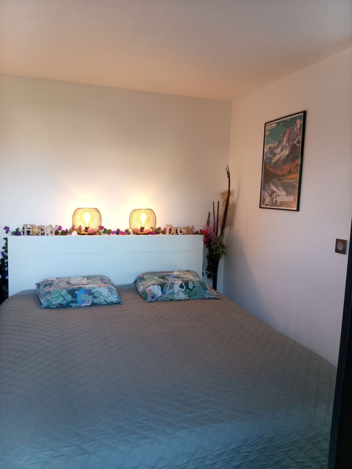 Appt Cosy Entier Avec Parc- Piscine-tennis - Cugnaux