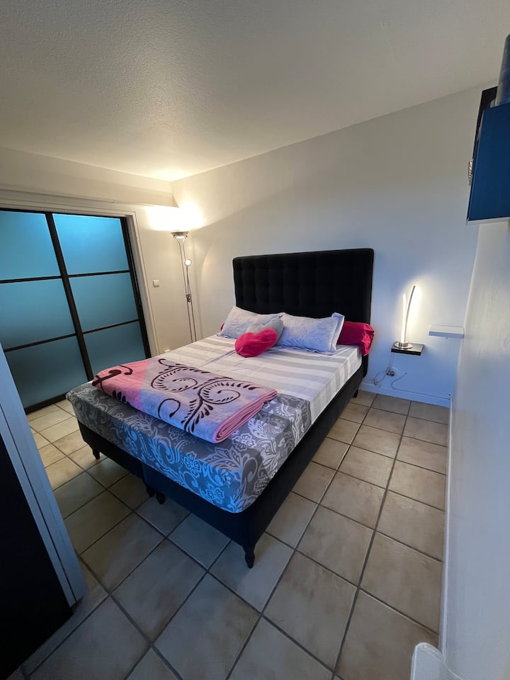 Superbe Appartement - Toulouse-Blagnac Airport (TLS)