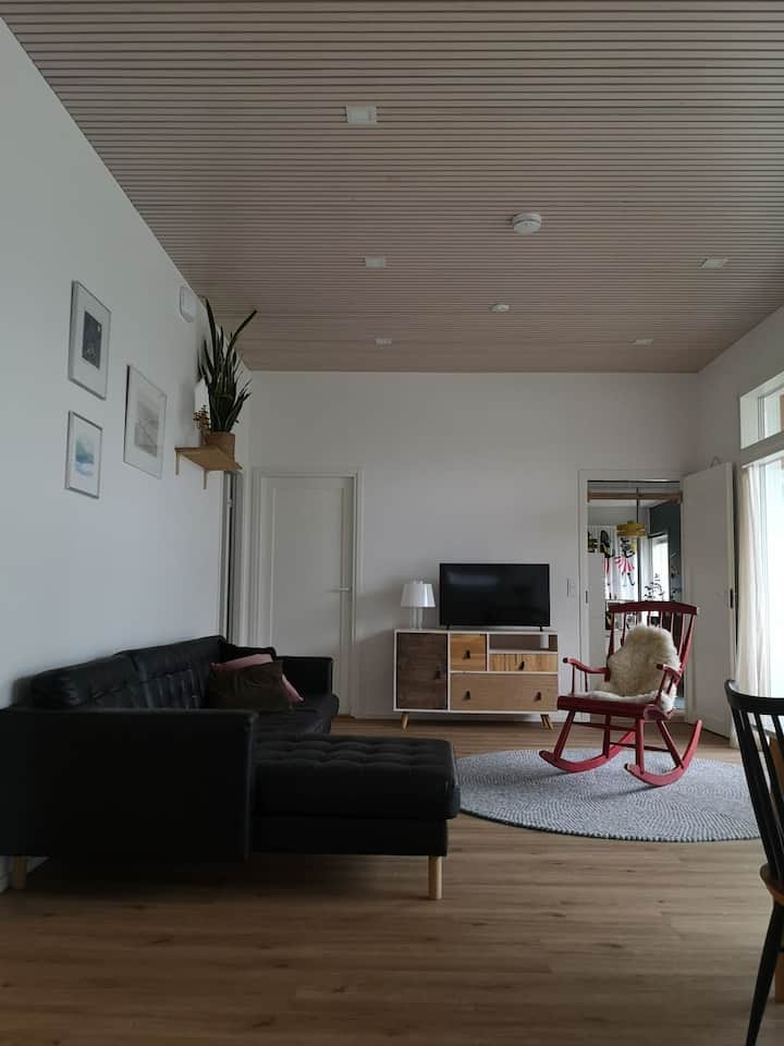 Moderni Luksushuvila - Rovaniemi