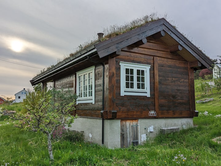 Cozy Log Cabin - Sjøholt