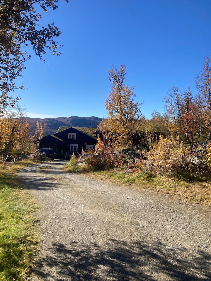 Small Log Cabin For Rent - Norway