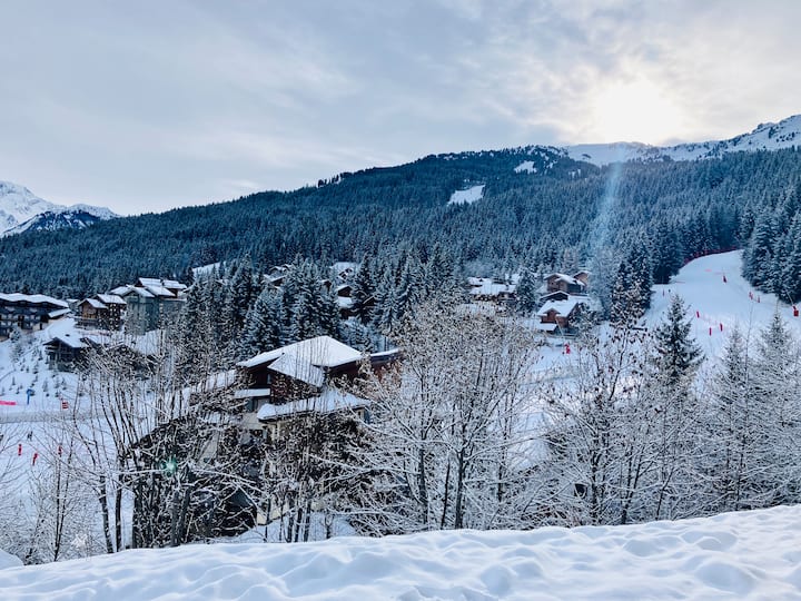 Chaleureux T2 Aux Pieds Des Pistes. La Tania. - クルシュヴェル