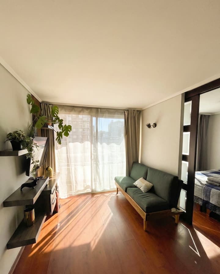 Disfruta El Centro De Santiago Con Lavadora Y A/ac - La Cisterna