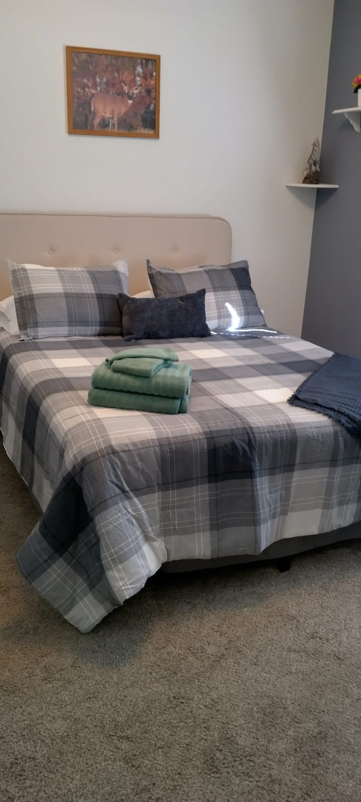 Queen Size Bed (So Comfy) - Great Falls, MT