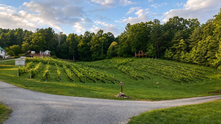 Walk To Winery -Hot Tub-cabin Retreat - Blairsville, GA