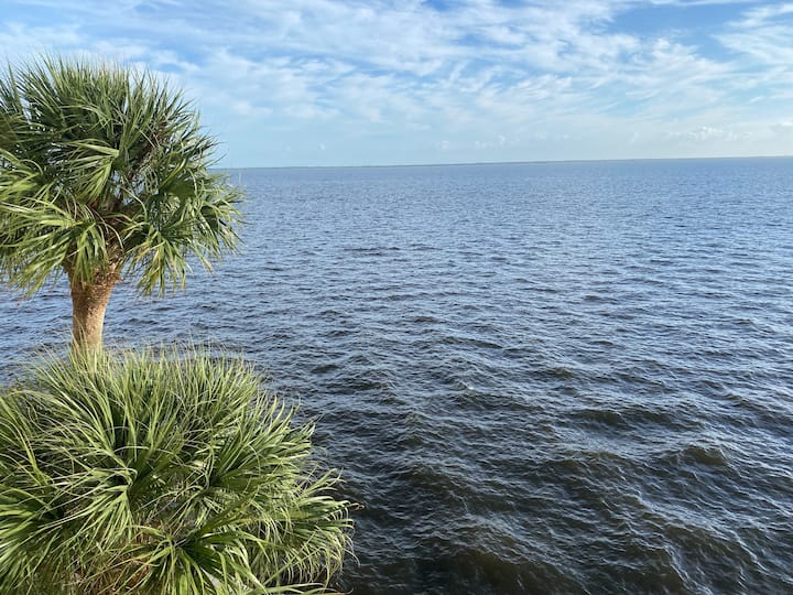 Waterfront Florida Condo-rocket Launches & Dolphin - Titusville, FL