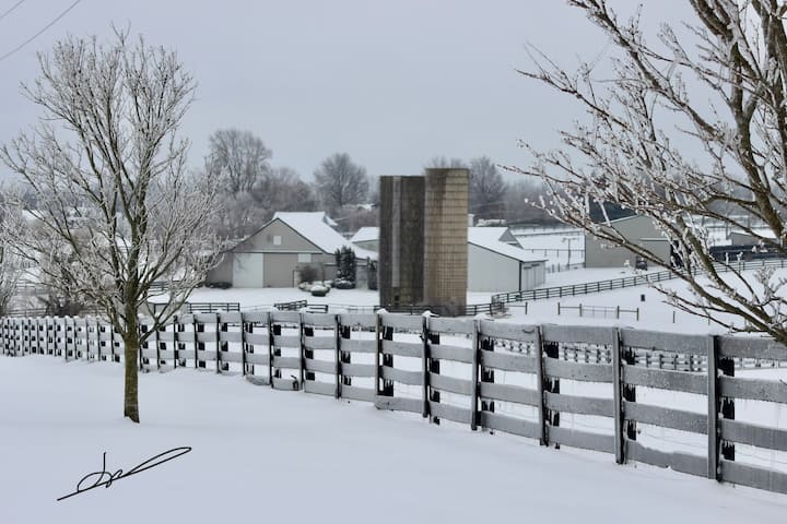 Best Farm Stay! Bourbon Trail! Meet Farm Animals! - Kentucky