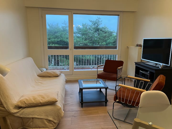 Ensoleillé Et Sans Vis à Vis Appartement T3 - Le Touquet-Paris-Plage