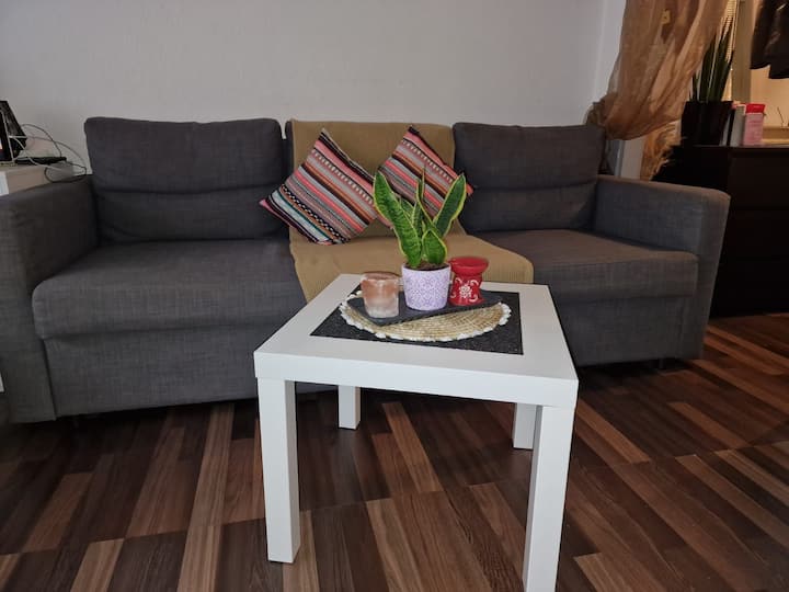 Studio En Plein Cœur De Genève - Geneva