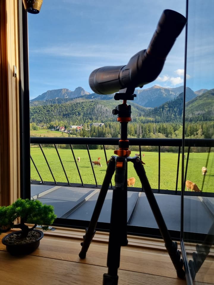 Zoom On Giewont By Apart Concept Podhale - Kościelisko