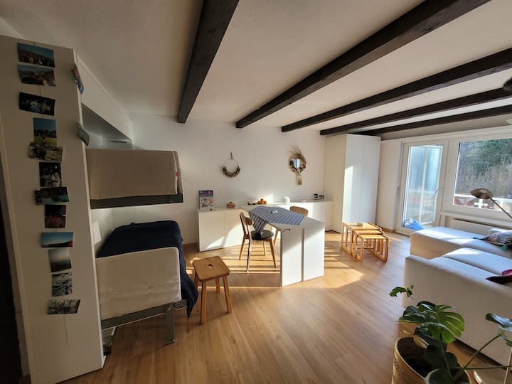 Renoviete Einzimmerwohnung - Chur