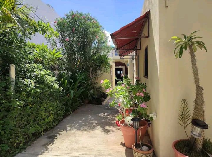 Casa Petronila, Céntrica. D3 - Mérida