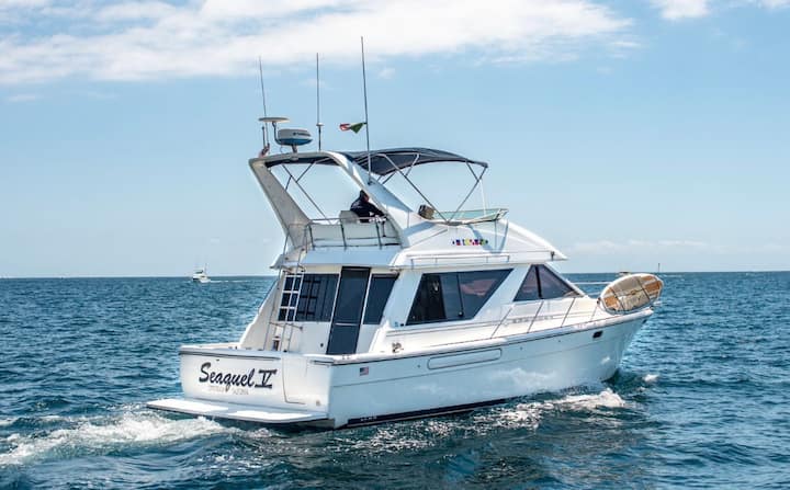 Yate De Lujo 42 Ft Bayliner - Cabo San Lucas