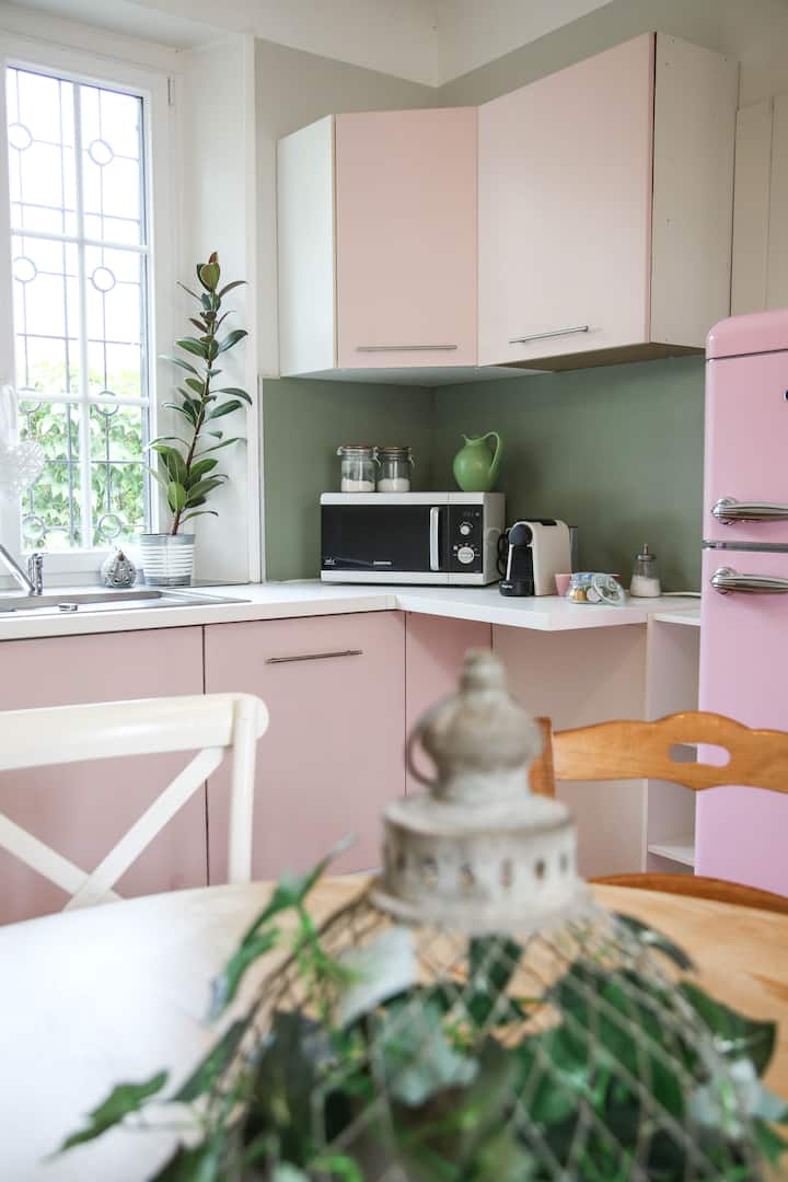 Maison De Charme 5min Riquewihr, Villa Camélias - Colmar