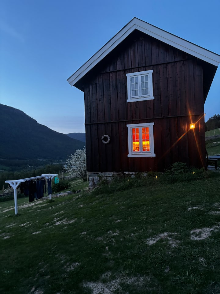 Koselig Hus På Gård - Vinstra
