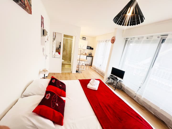 Studio Grande Terrasse à 2 Pas Du Centre Ville - Strasbourg