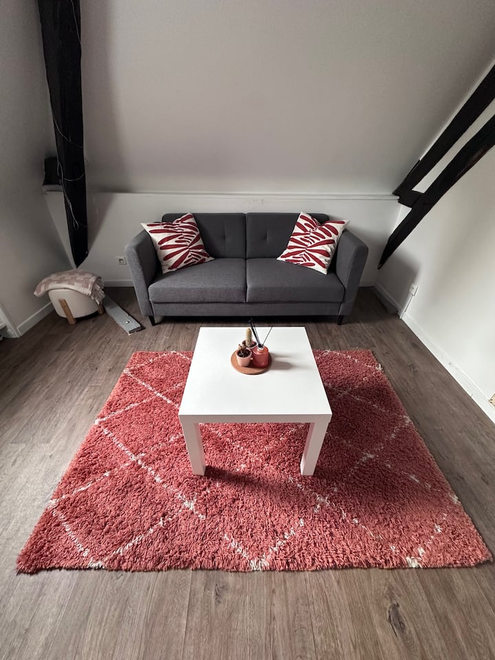 Le Saint Eusèbe - Auxerre