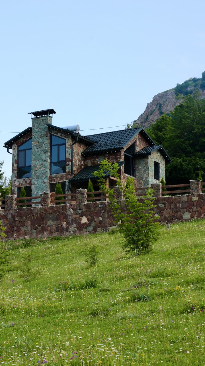 Bardzunk Shale - Armenia