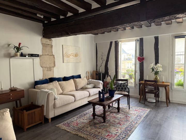 Grand Appartement - Immeuble Historique Marais - Paris