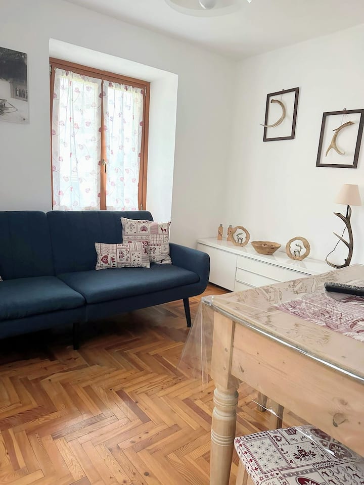 “Anemone “  Viola - Madesimo