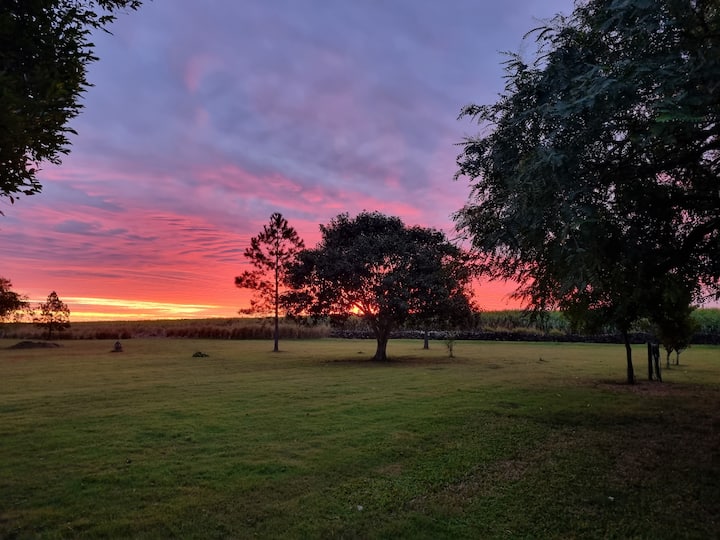 Harmony Place: Nature Lover's Delight - 班德堡