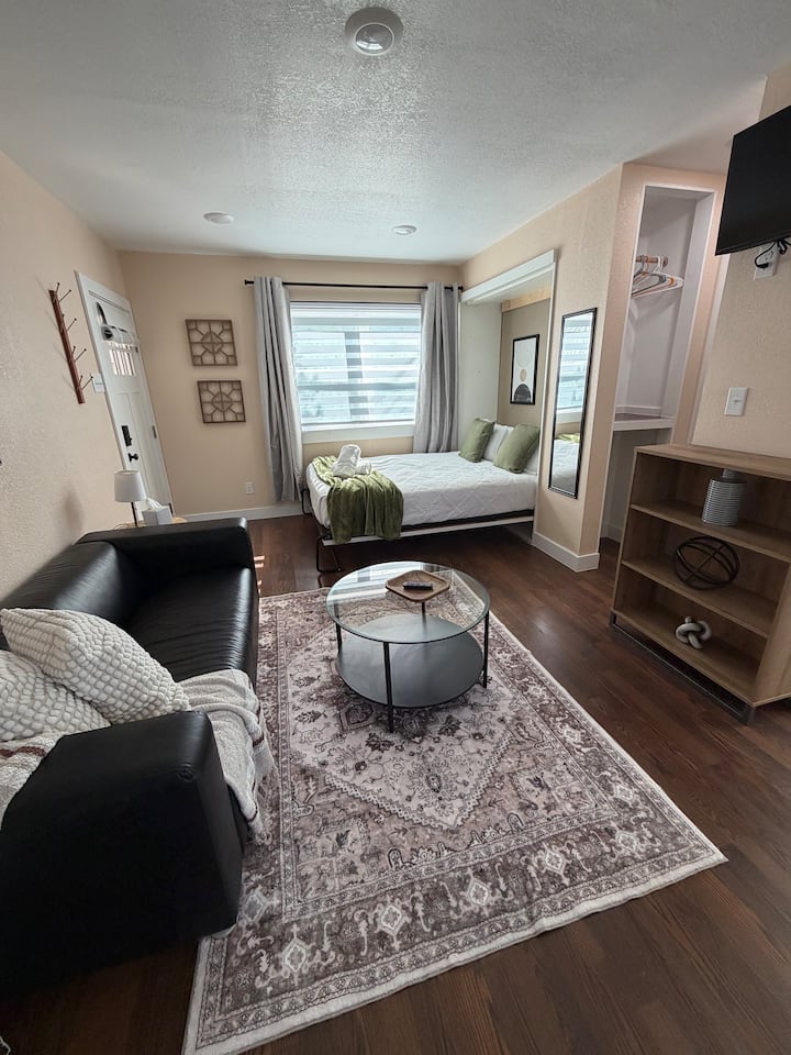 Cozy Studio! Near Dt-ftsam-uiw-trinity-pearl (#G) - San Antonio, TX