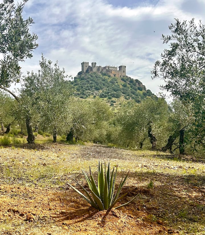 Maison Caraza : Propriété Privée Au Pied Du Château - Almodóvar del Río
