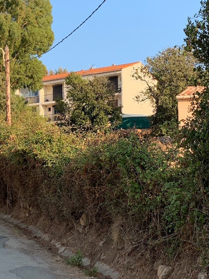 Latlantide - Calvi