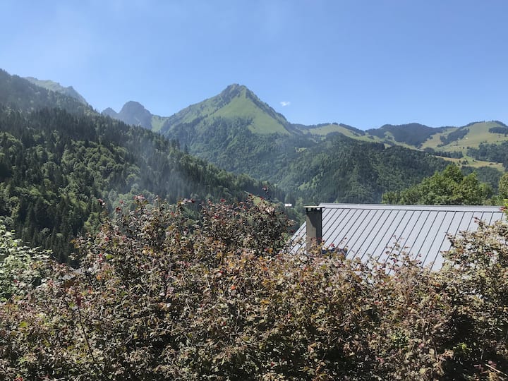 Grand Deux Pièces Calme Et Cosy - Abondance